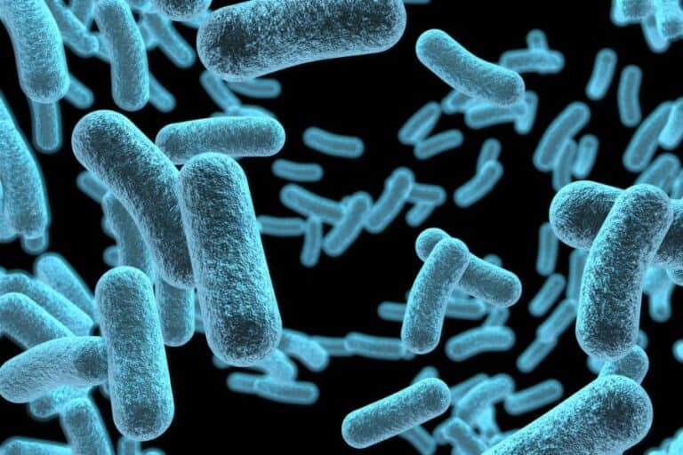 Air Quality Testing | Indoorbreathing: website for a better air