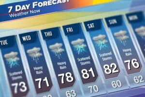 The 5 Best Storm Glass | Predict the Weather - IndoorBreathing