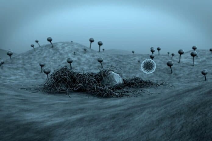 How To Get Rid Of Mold Spores In the Air? - IndoorBreathing